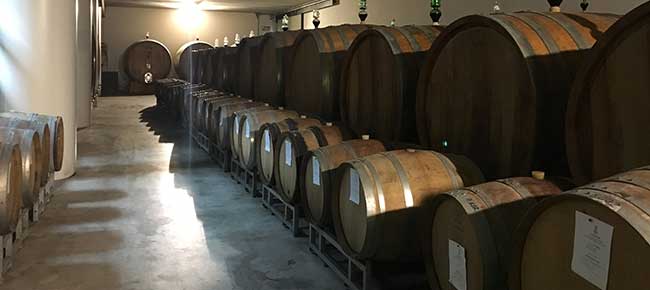 Enoturismo ad Alba: visite e degustazioni